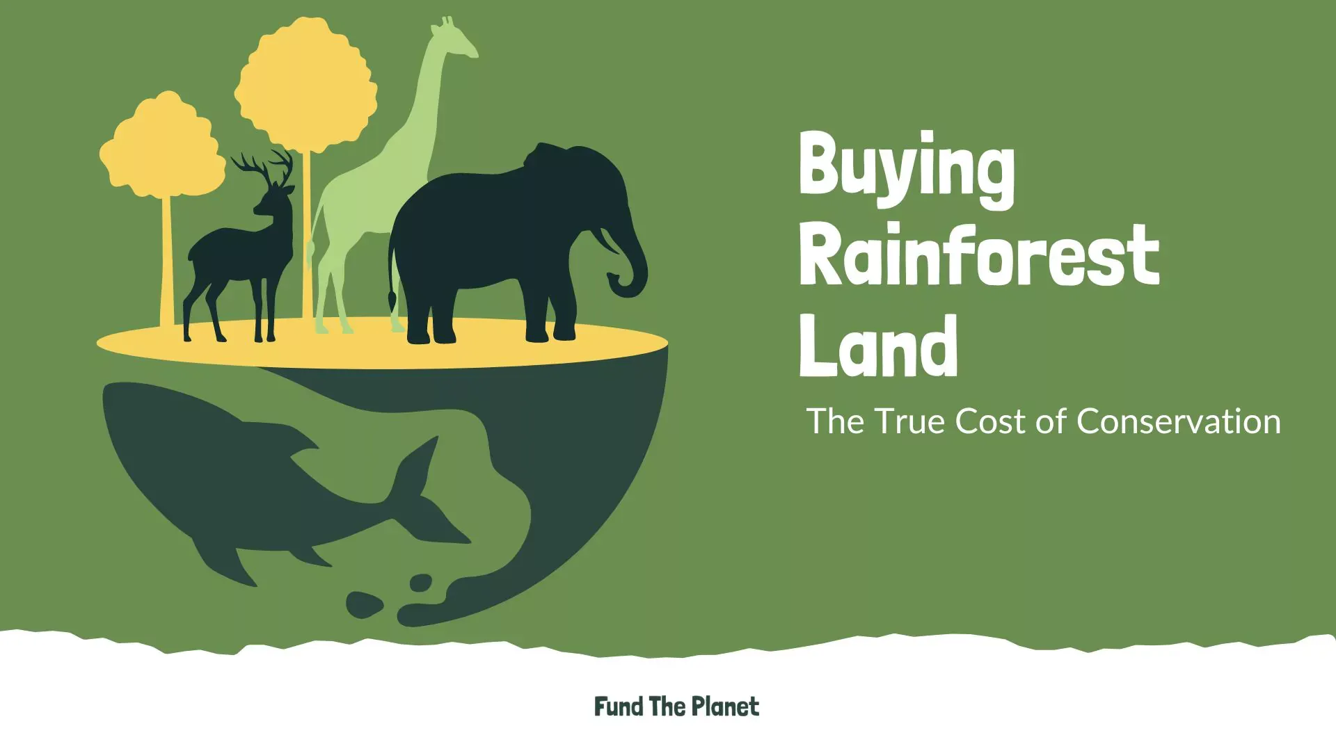 Buying Rainforest Land: The True Cost of Conservation - Fund the Planet