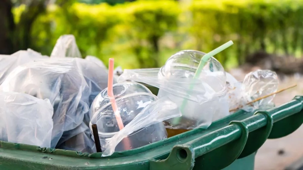 10 Practical Ways to Keep the Environment Clean and Green - Fund the Planet